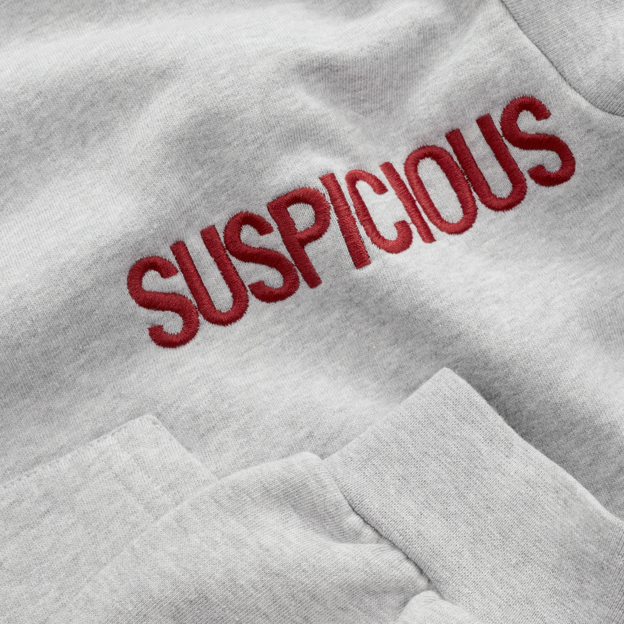 Hoodies (Store) – Suspicious Antwerp